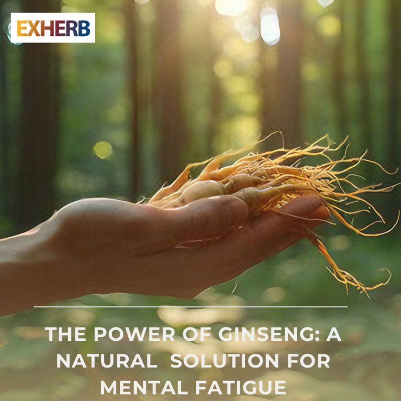 The Power of Ginseng: A Natural Solution for Mental Fatigue - Exherb